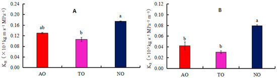 A Better Fruit Quality of Grafted Blueberry Than Own-Rooted Blueberry ...