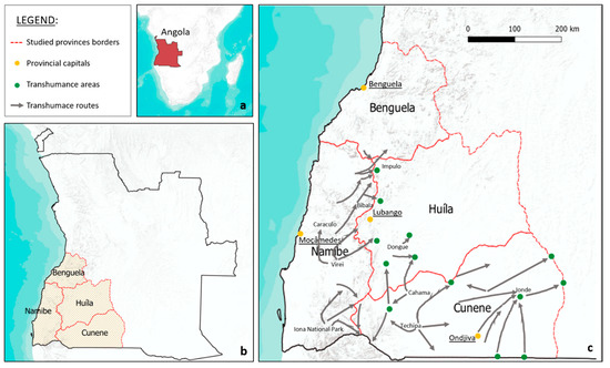 Preserving Ethnoveterinary Medicine (EVM) along the Transhumance Routes ...