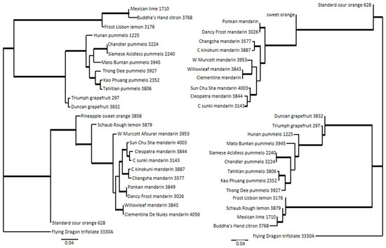 Development and Assessment of SNP Genotyping Arrays for Development and Assessment of SNP Genotyping Arrays for