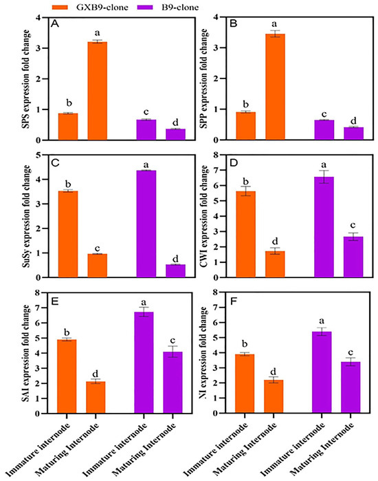 Comparative Analysis of Sucrose-Regulatory Genes in High- and Low ...