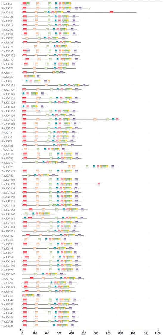 Analysis of the UDP-Glucosyltransferase (UGT) Gene Family and Its ...