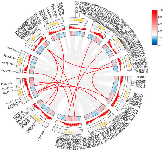 Analysis of the UDP-Glucosyltransferase (UGT) Gene Family and Its ...
