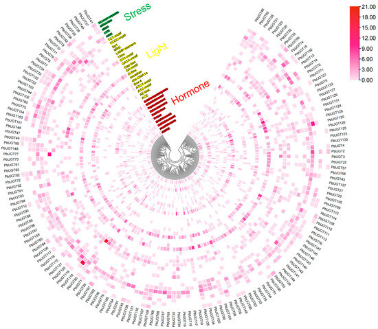 Analysis of the UDP-Glucosyltransferase (UGT) Gene Family and Its ...