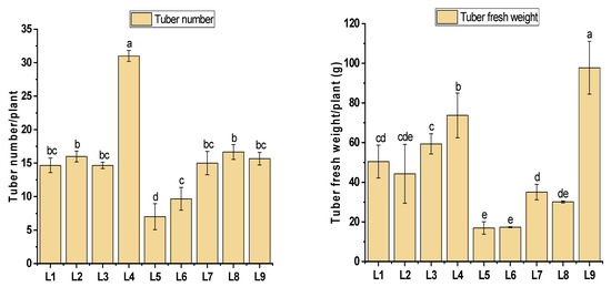 Effect of Light Quality on Seed Potato (Solanum tuberose L ...