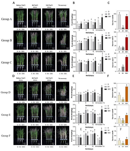 Plants | Free Full-Text | Research on Physiological Characteristics and ...