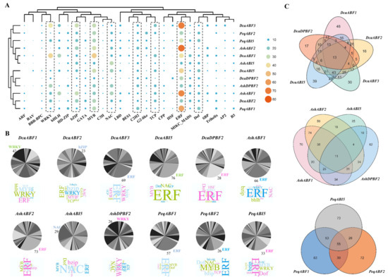 Identification and Characterization of the AREB/ABF Gene Family in ...