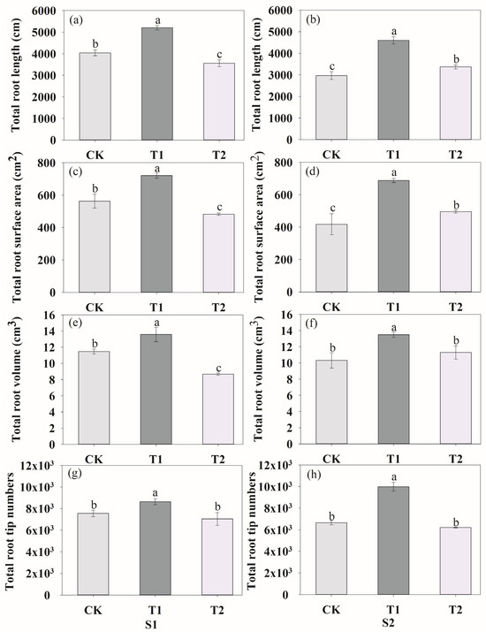 Rhizosphere Ventilation Effects on Root Development and Bacterial ...