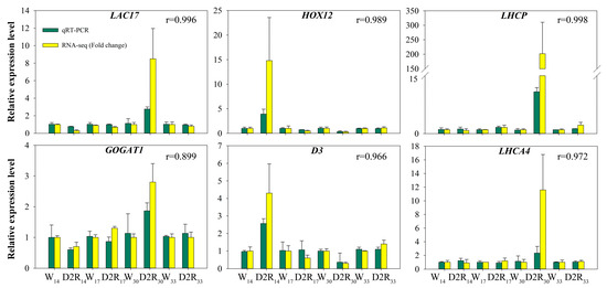 Transcriptome-Based Weighted Gene Co-Expression Network Analysis ...
