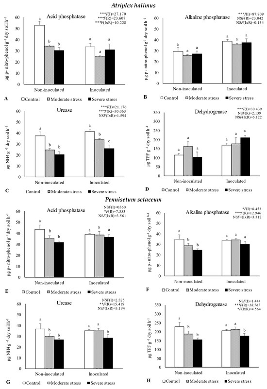 Enhancing Native Plant Establishment in Mine Tailings under Drought ...