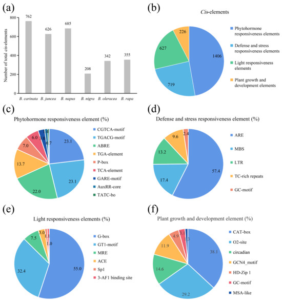 Identification, Evolutionary Dynamics, and Gene Expression Patterns of ...