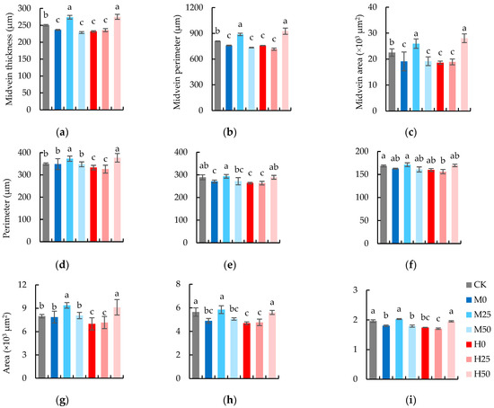 Proline Spray Relieves the Adverse Effects of Drought on Wheat Flag ...