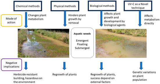 Nonchemical Aquatic Weed Control Methods: Exploring the Efficacy of UV ...