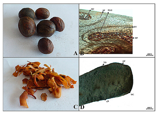 Herbal Spices as Food and Medicine: Microscopic Authentication of ...