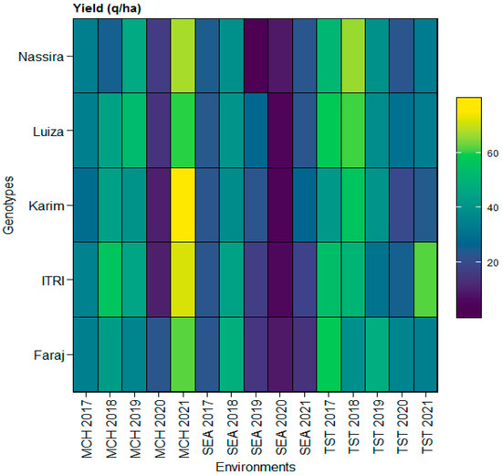 Dissecting Genotype by Environment Interactions in Moroccan Wheat: An ...