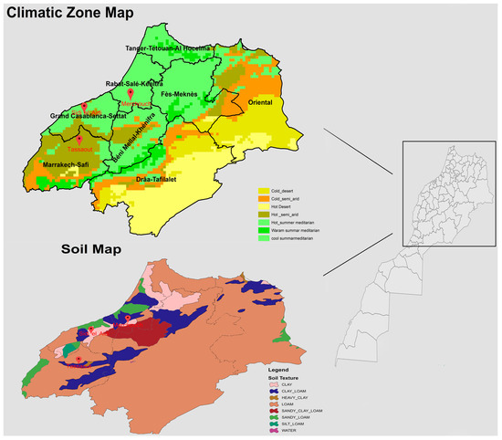 Dissecting Genotype by Environment Interactions in Moroccan Wheat: An ...