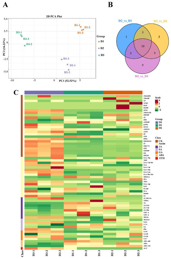 Integrative Metabolomic and Transcriptomic Analysis Elucidates That the ...