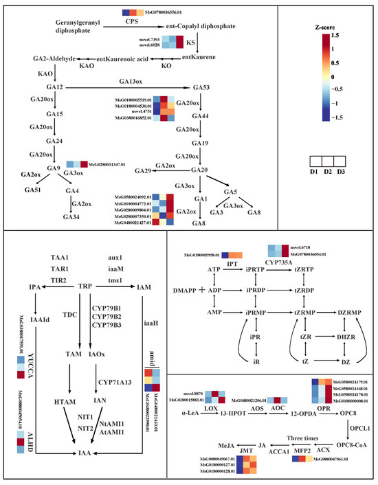 Integrative Metabolomic and Transcriptomic Analysis Elucidates That the ...
