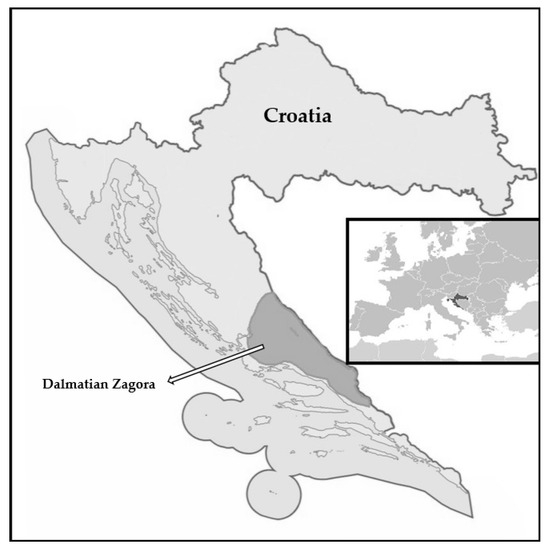 Wild Edible Plants Used in Dalmatian Zagora (Croatia)