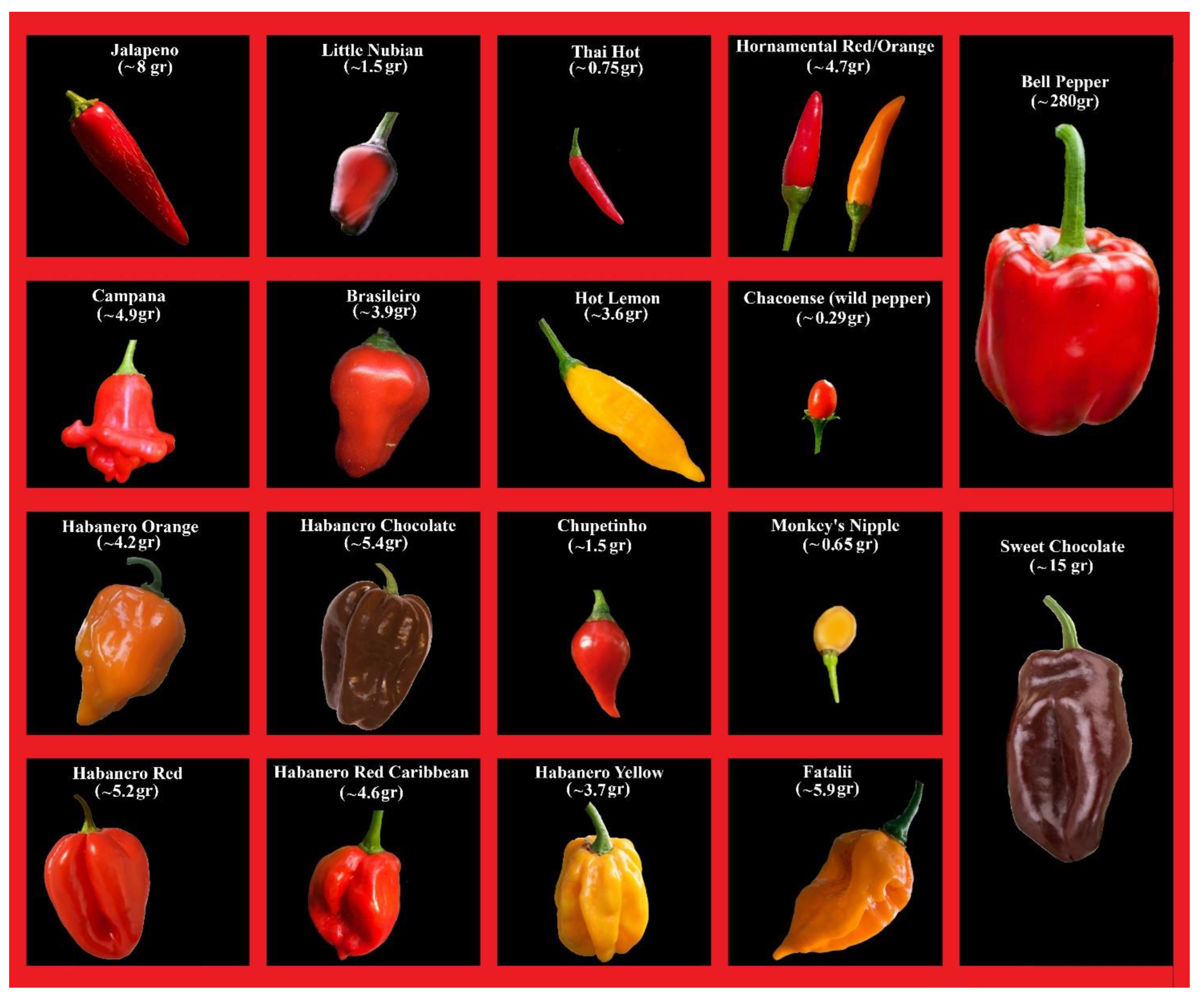 Different peppers store