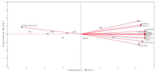 The Expression of Key Ethylene and Anthocyanin Biosynthetic Genes of ...