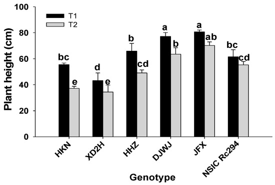 Effects of Salt Stress on Physiological and Agronomic Traits of Rice ...