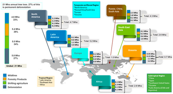 Plants | Free Full-Text | Sustainable Development versus Extractivist ...