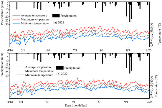 Plants | Free Full-Text | Optimizing the Mulching Pattern and Nitrogen Application Rate to ...