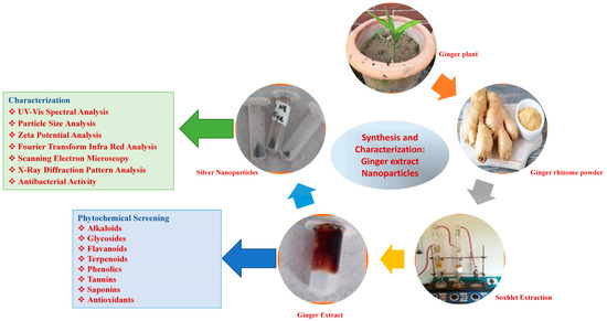 Green Synthesis and Characterization of Ginger-Derived Silver ...