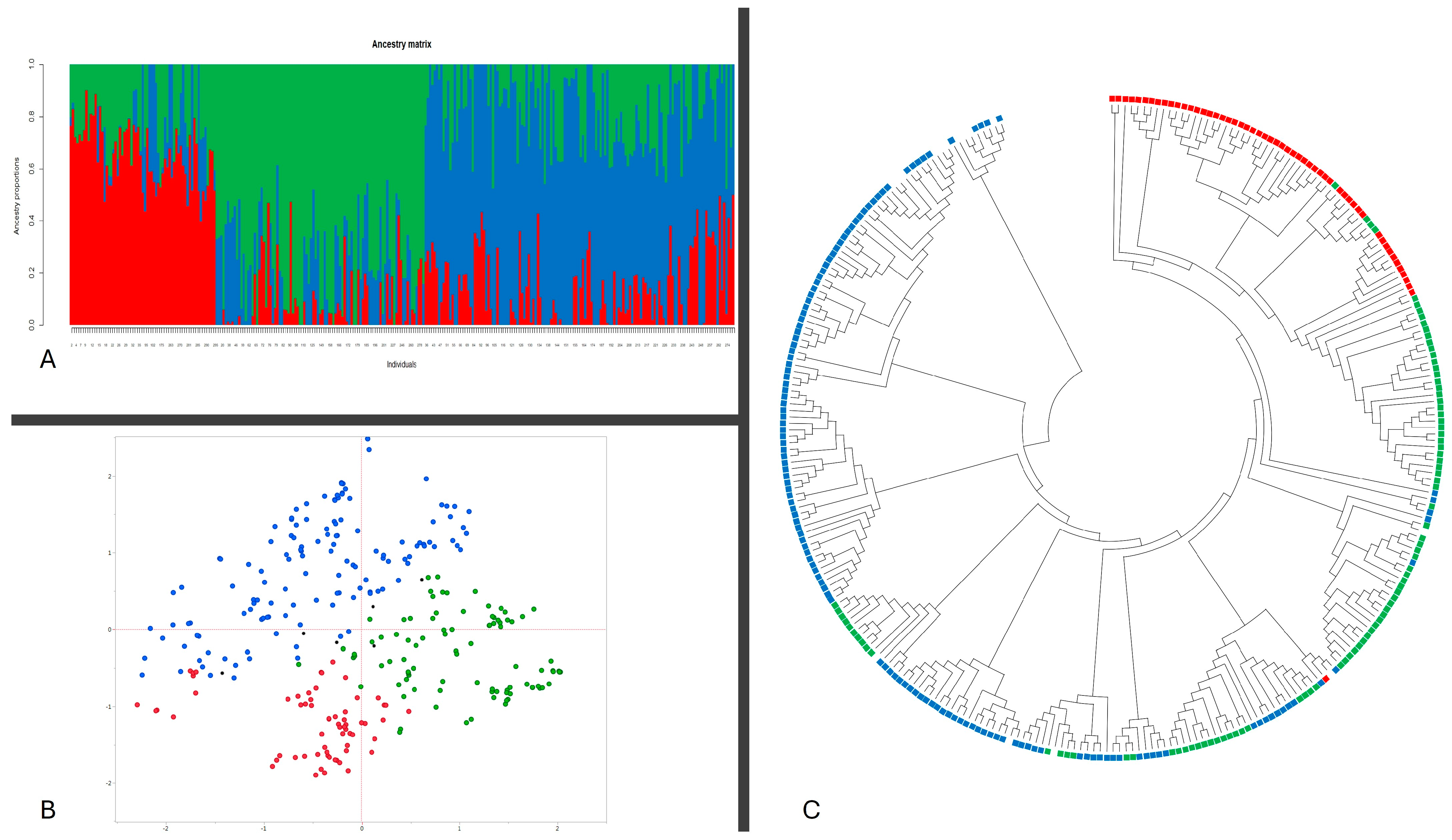 Genetic Dissection of Diverse Seed Coat Patterns in Cowpea through a Comprehensive GWAS Approach