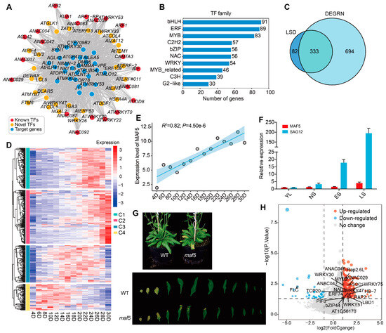 Identification of Novel Regulators of Leaf Senescence Using a Deep ...