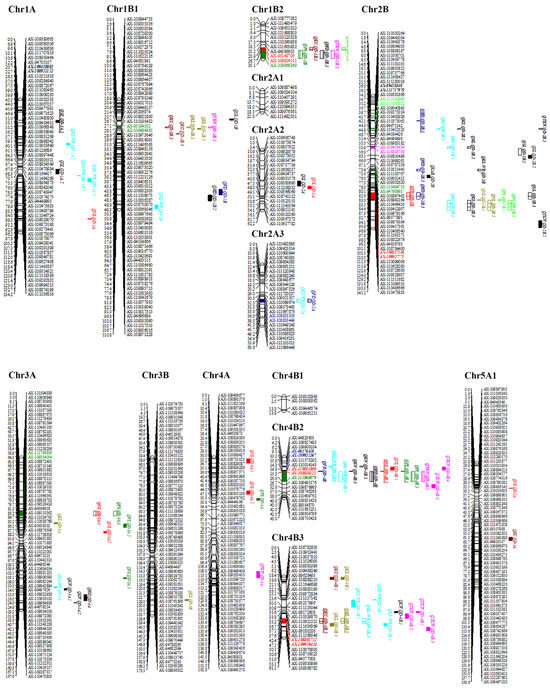 QTL Mapping of Yield-Related Traits in Tetraploid Wheat Based on Wheat55K SNP Array