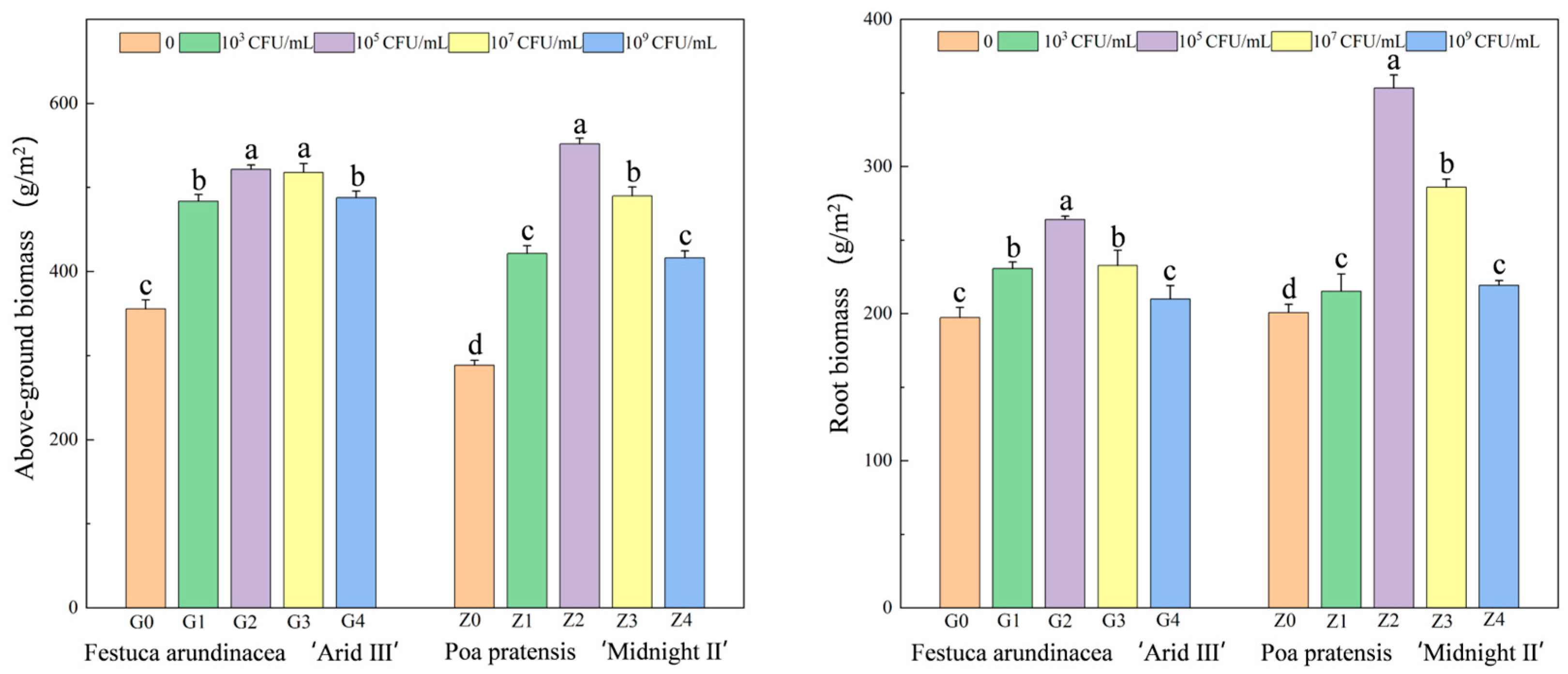 Microbiological Mechanisms of Collaborative Remediation of Cadmium ...