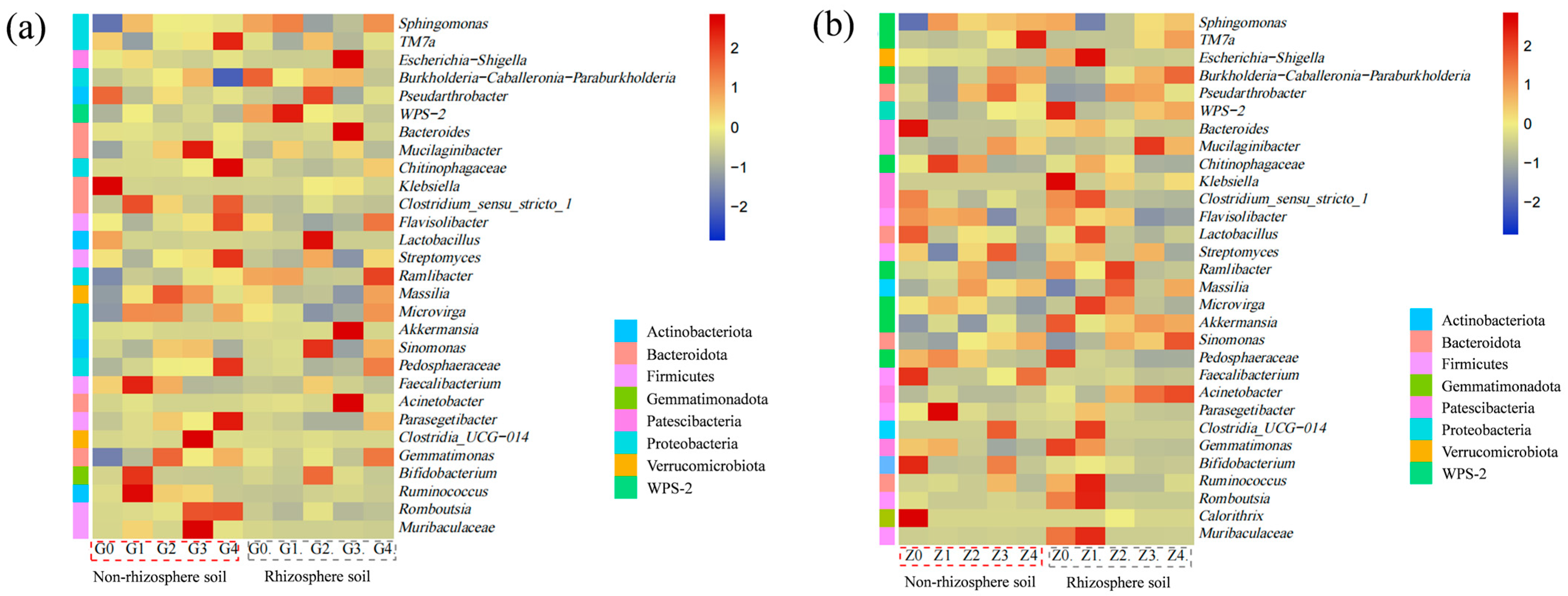 Microbiological Mechanisms of Collaborative Remediation of Cadmium ...