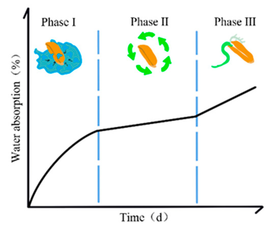Factors Influencing Seed Dormancy and Germination and Advances in Seed ...