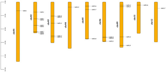 Genome-Wide Identification of the Pectate Lyase Gene Family in Potato ...