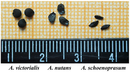 IPPRAS Cryobank for the Conservation of Orthodox Seeds of Rare ...