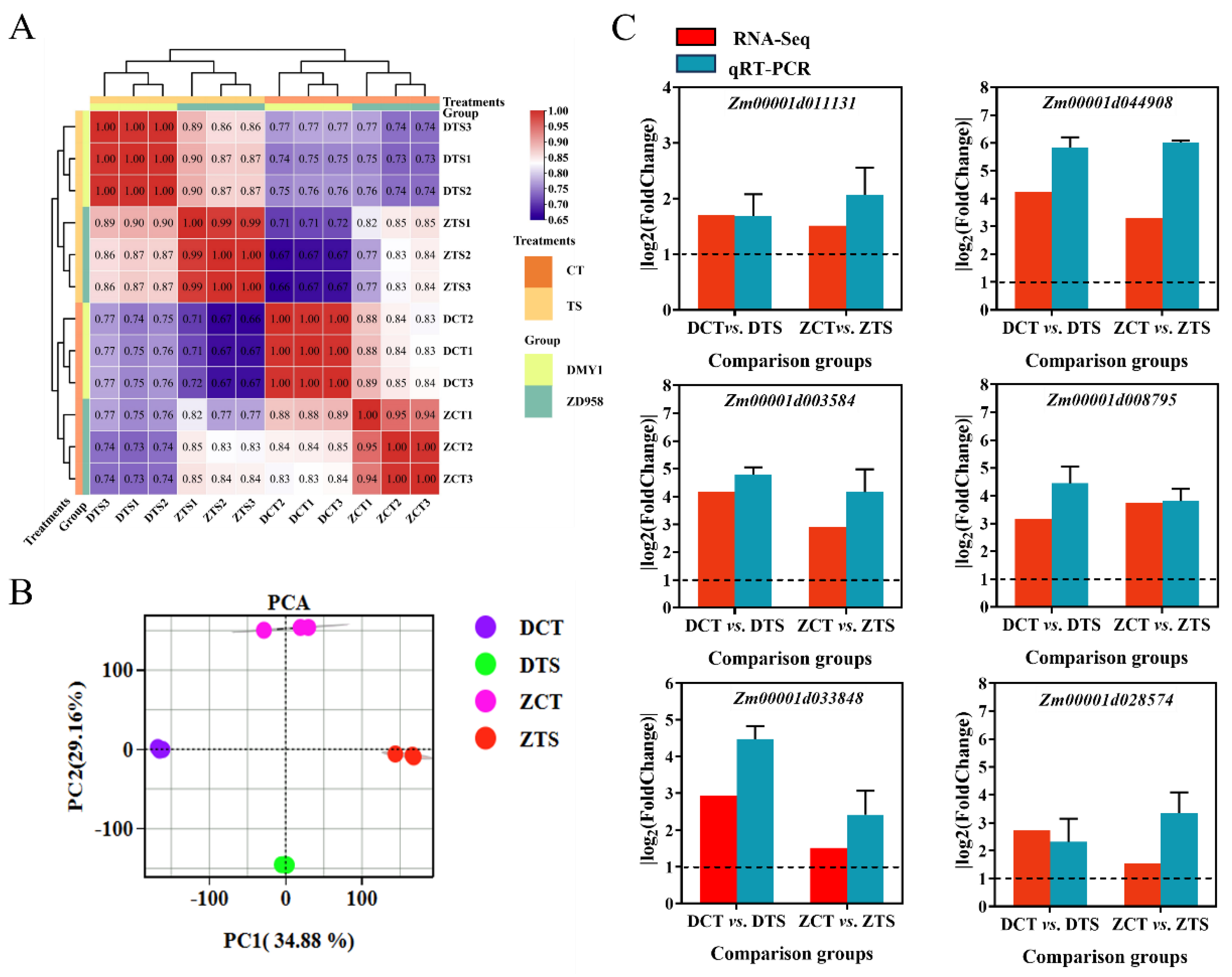 Transcriptome Analysis Reveals POD as an Important Indicator for ...