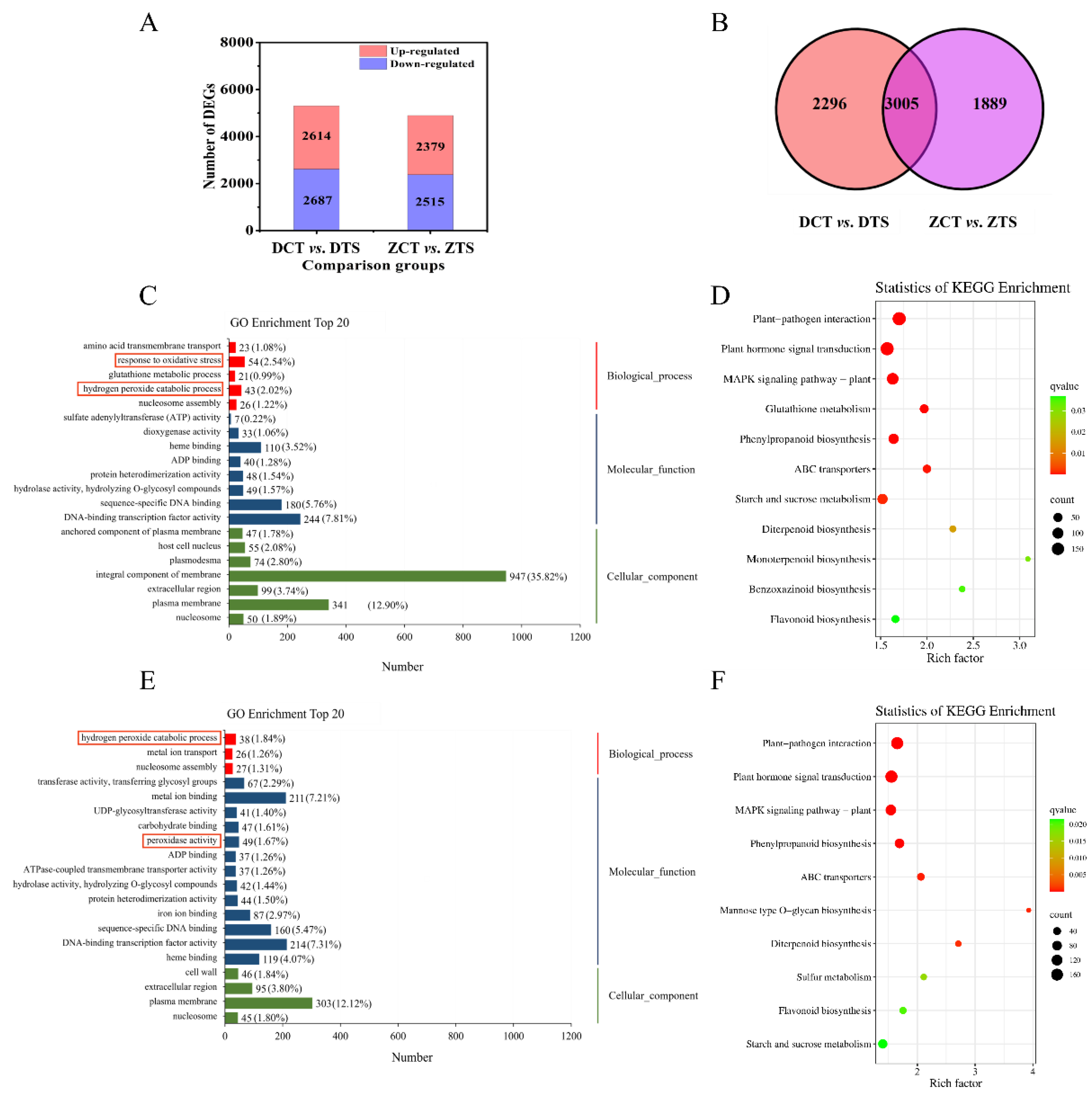 Transcriptome Analysis Reveals POD as an Important Indicator for ...