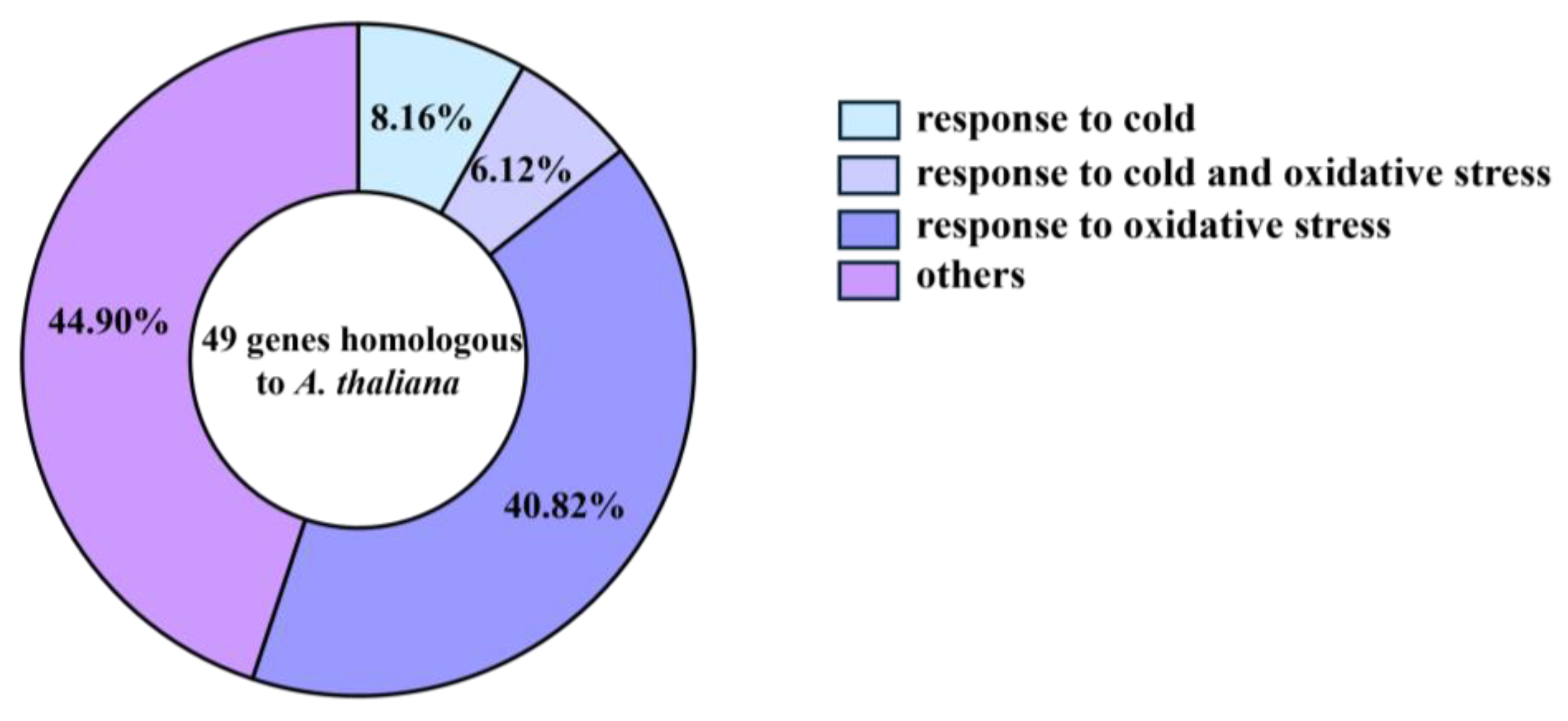 Transcriptome Analysis Reveals POD as an Important Indicator for ...