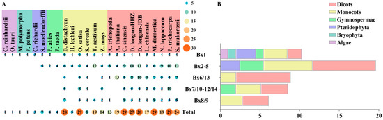 Genome-Wide Identification and Expression Analysis of Bx Involved in ...