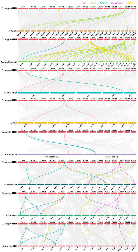 Genome-Wide Identification and Expression Analysis of Bx Involved in Benzoxazinoids Biosynthesis ...