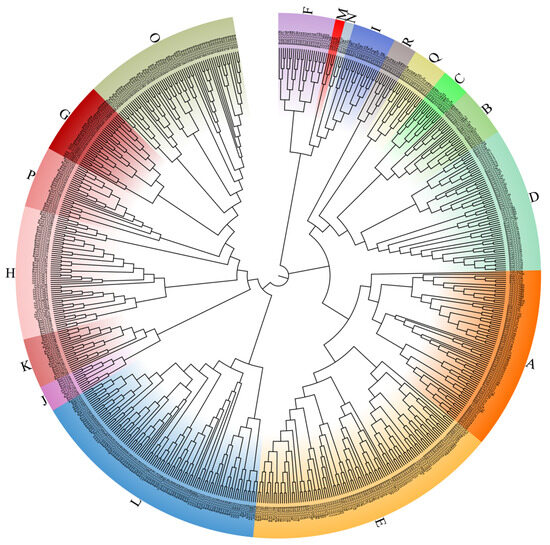 Identification and Functional Verification of the Glycosyltransferase ...