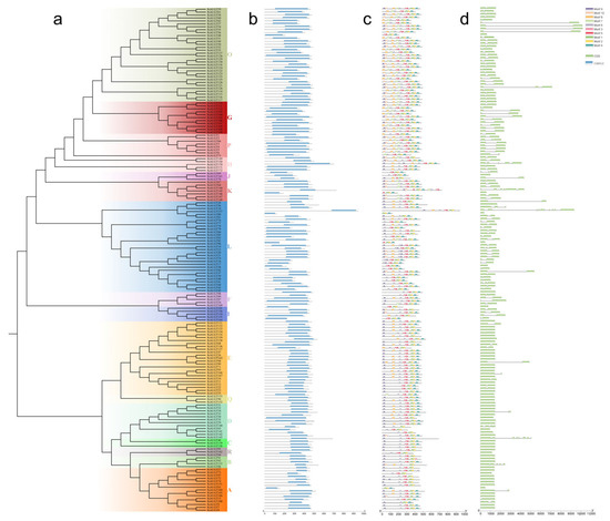 Identification and Functional Verification of the Glycosyltransferase ...