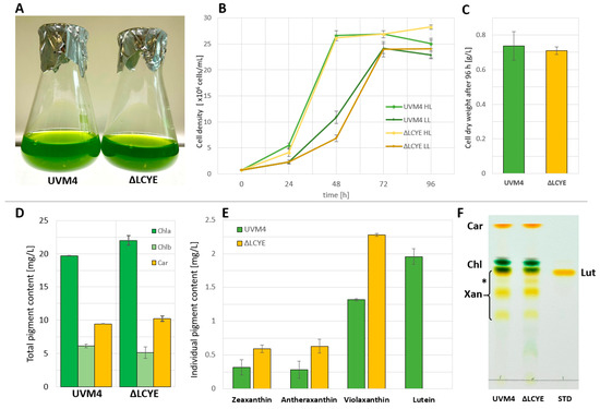 Plants | Free Full-Text | CRISPR/Cas9-Mediated Knockout of the Lycopene ε-Cyclase for Efficient ...