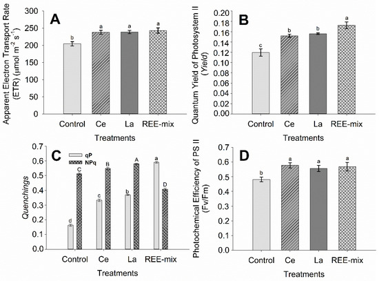 Biostimulant Response of Foliar Application of Rare Earth Elements on ...