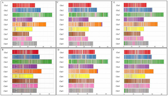 Chromosome-Scale, De Novo, Phased Genome Assemblies of Three Australian ...