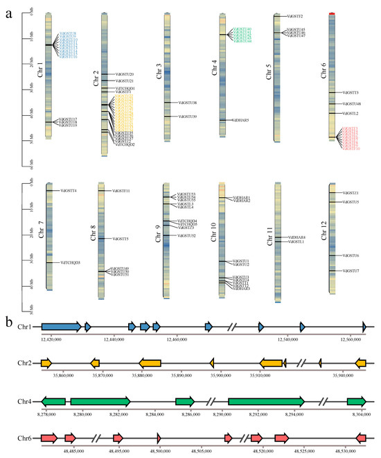 Genome-Wide Identification Analysis of GST Gene Family in Wild ...