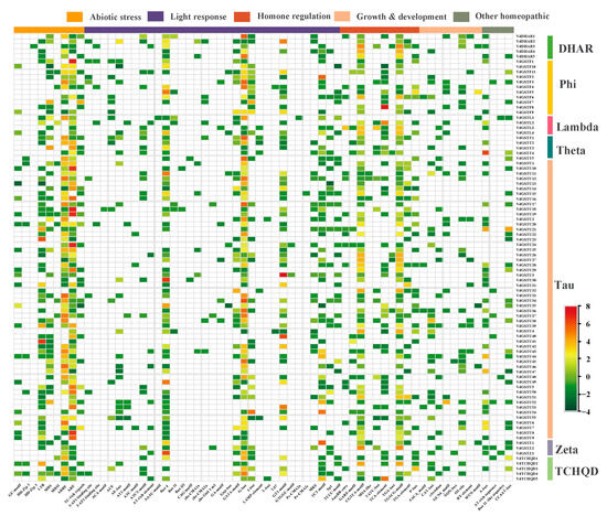 Genome-Wide Identification Analysis of GST Gene Family in Wild ...