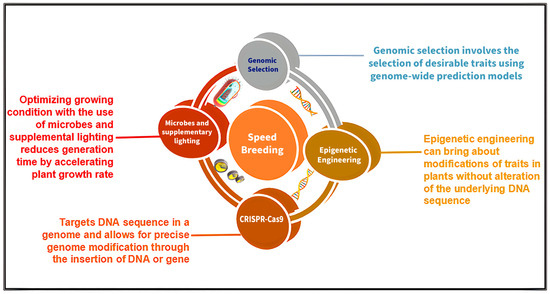 Tools and Techniques to Accelerate Crop Breeding