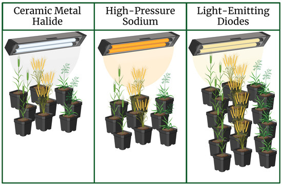 Tools and Techniques to Accelerate Crop Breeding